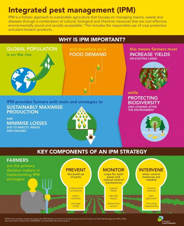 IPM infographic